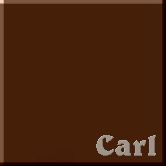 Carl GmbH & Co. KG: Farben